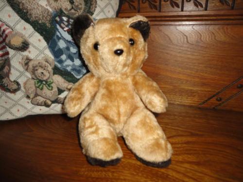 dark brown bear ears